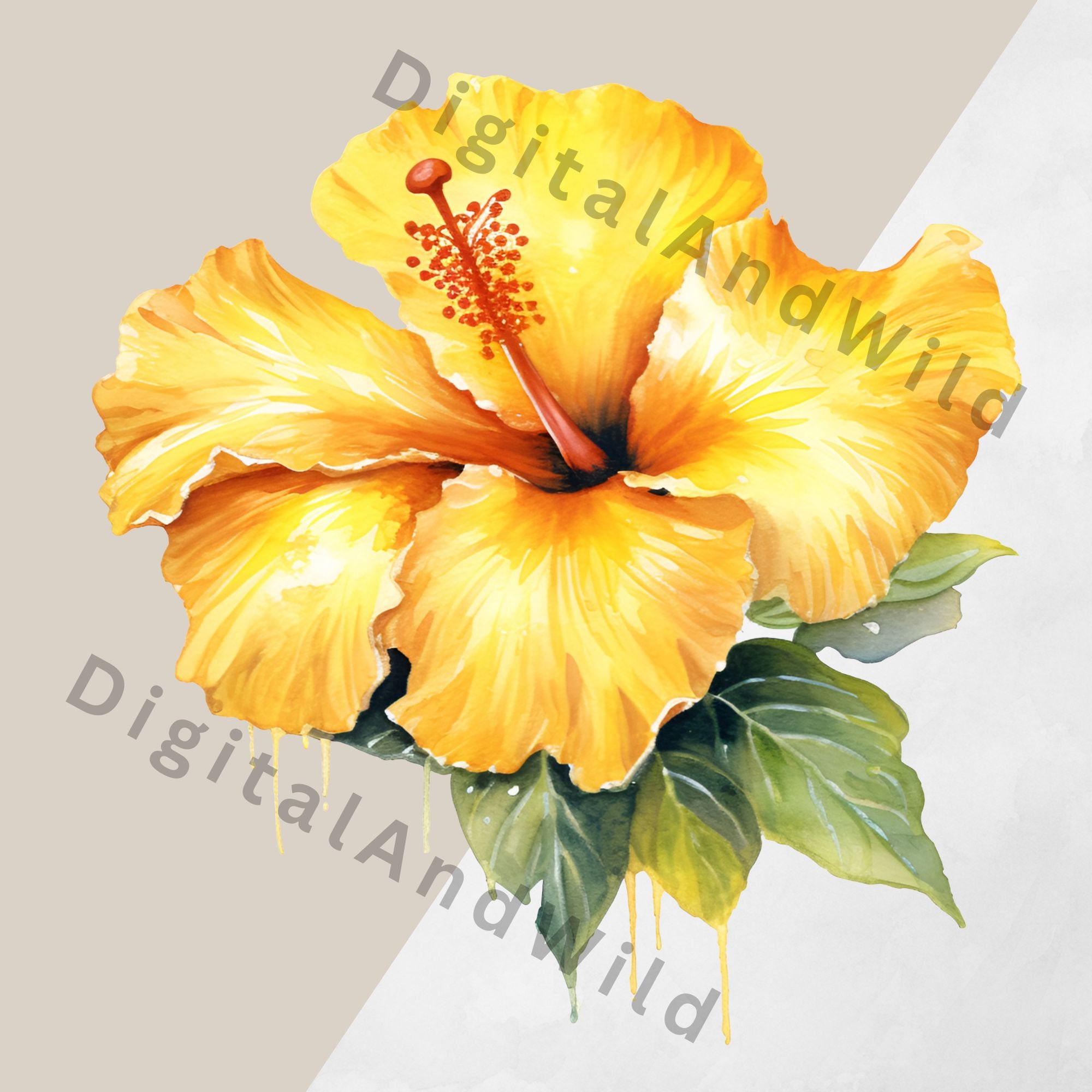 Hibiscus Watercolor Clipart Bundle Stunning Floral Design Printables ...