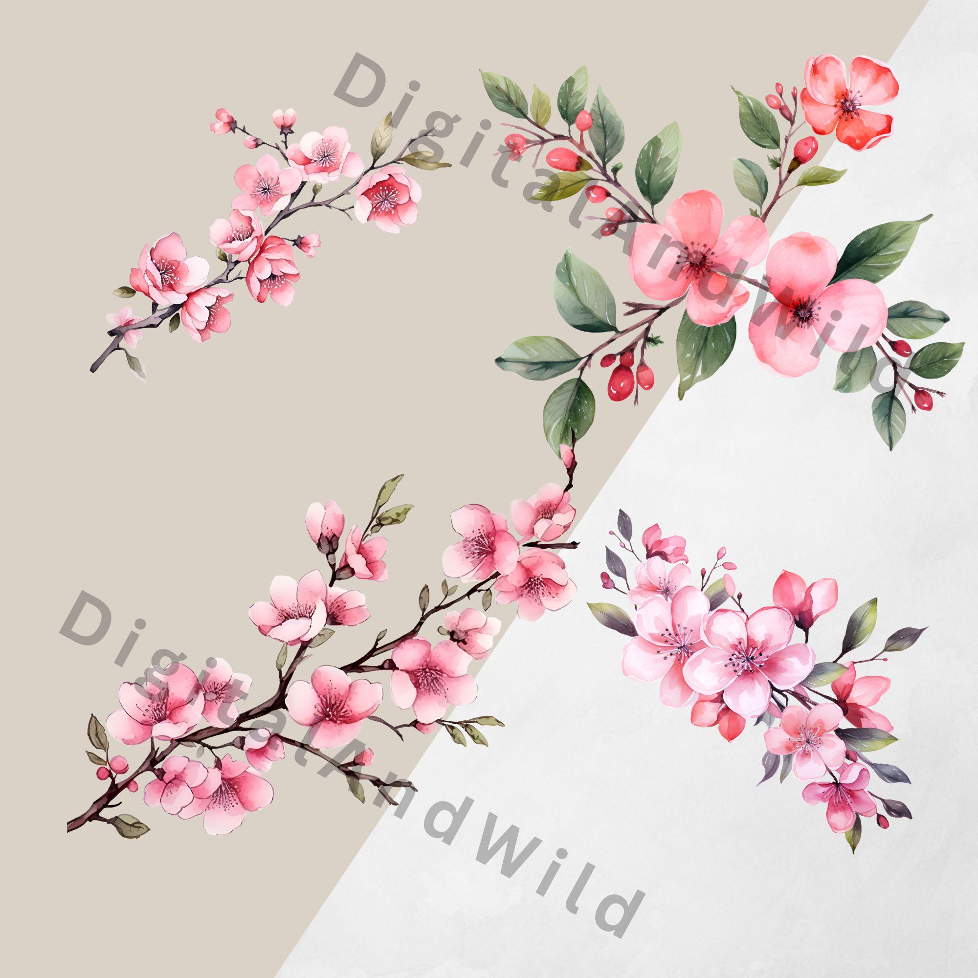 Watercolor Flower Clipart Bundle: Floral PNG Images (digital Download ...