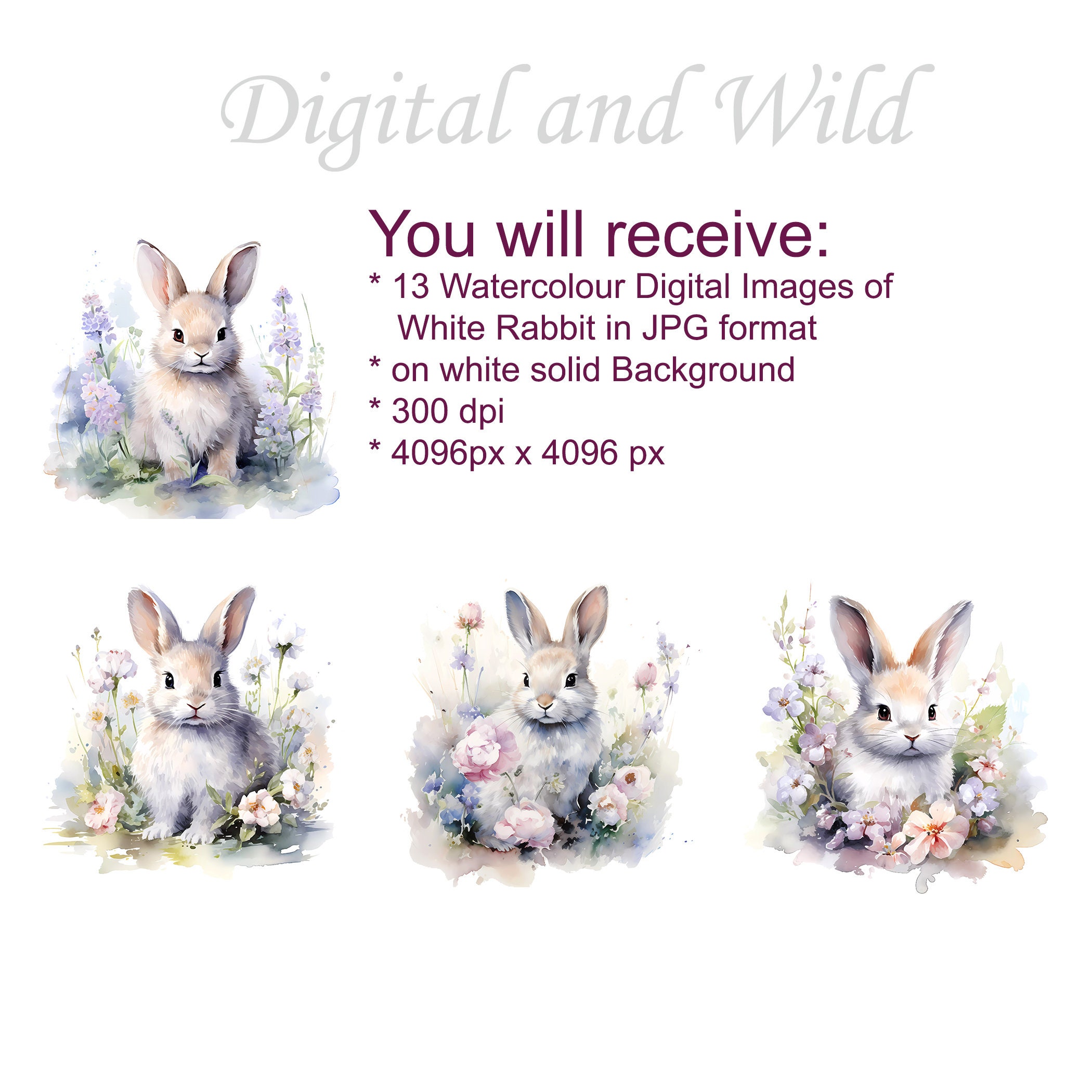 13 White Rabbit Digital Images - 13 High Quality Jpgs, Instant Digital ...
