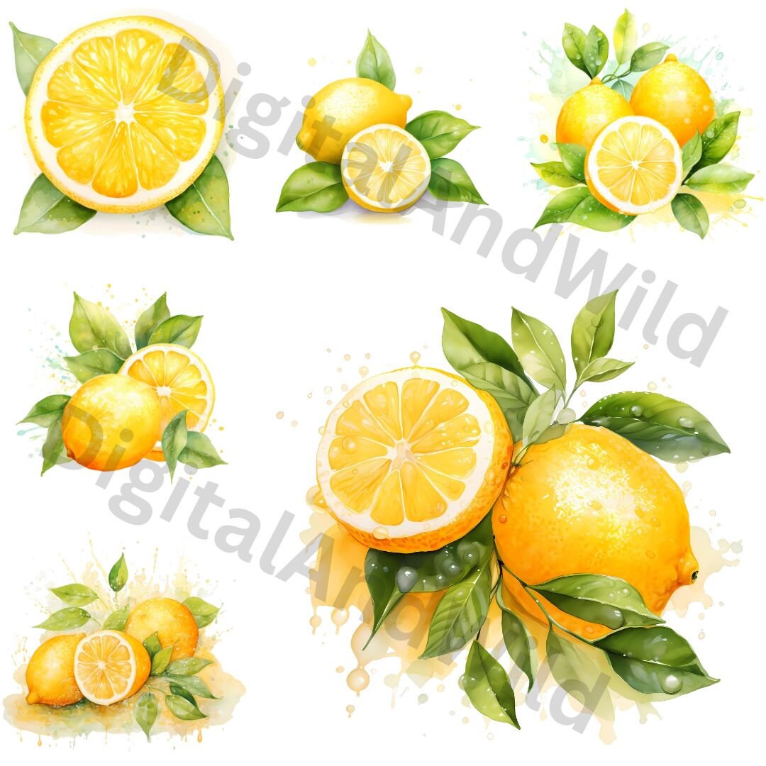 Lemon Watercolor Clipart Pack - 12 Jpgs, Instant Download, Card Making ...