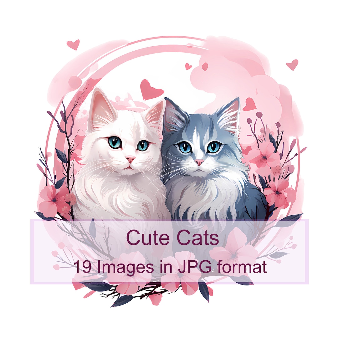 Cute Cats Clip Art Bundle, Digital Images (digital Download) - Etsy