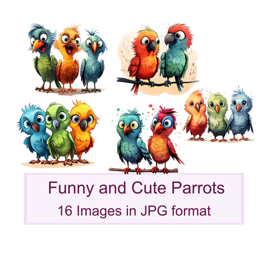Funny and Cute Parrots Digital Clipart Bundle, Cute Birds Clip Arts ...