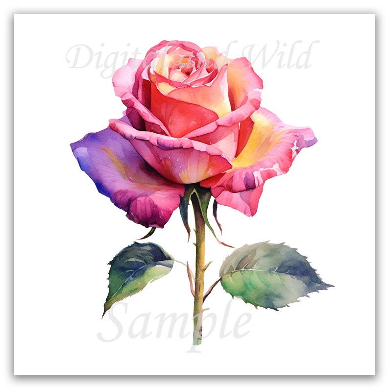 Watercolor Rose Digital Clipart Pack, Floral Clip Art, Instant Digital ...