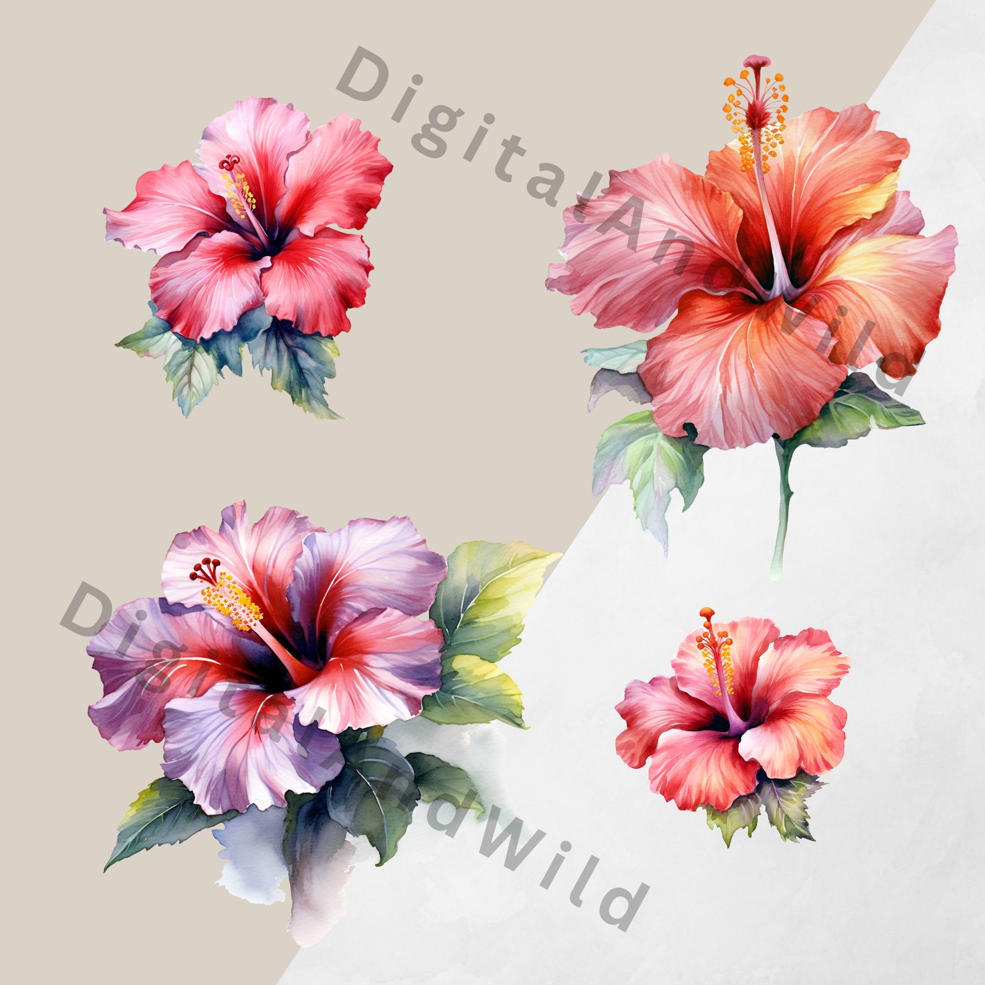 Hibiscus Watercolor Clipart Bundle Stunning Floral Design Printables ...