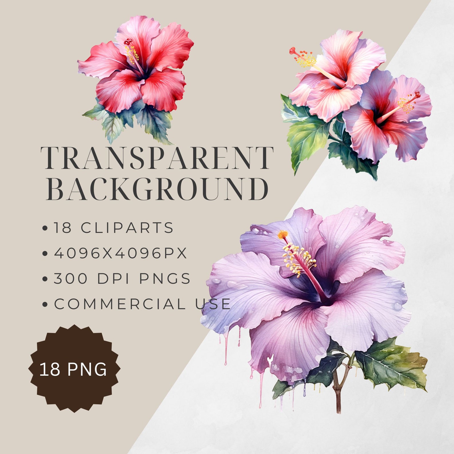 Hibiscus Watercolor Clipart Bundle Stunning Floral Design Printables ...