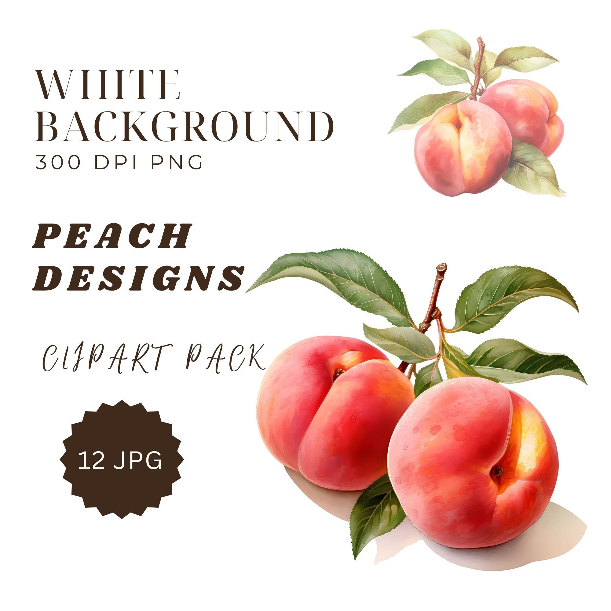 12 Peach Watercolour Digital Images - 12 High Quality Jpgs, Instant ...