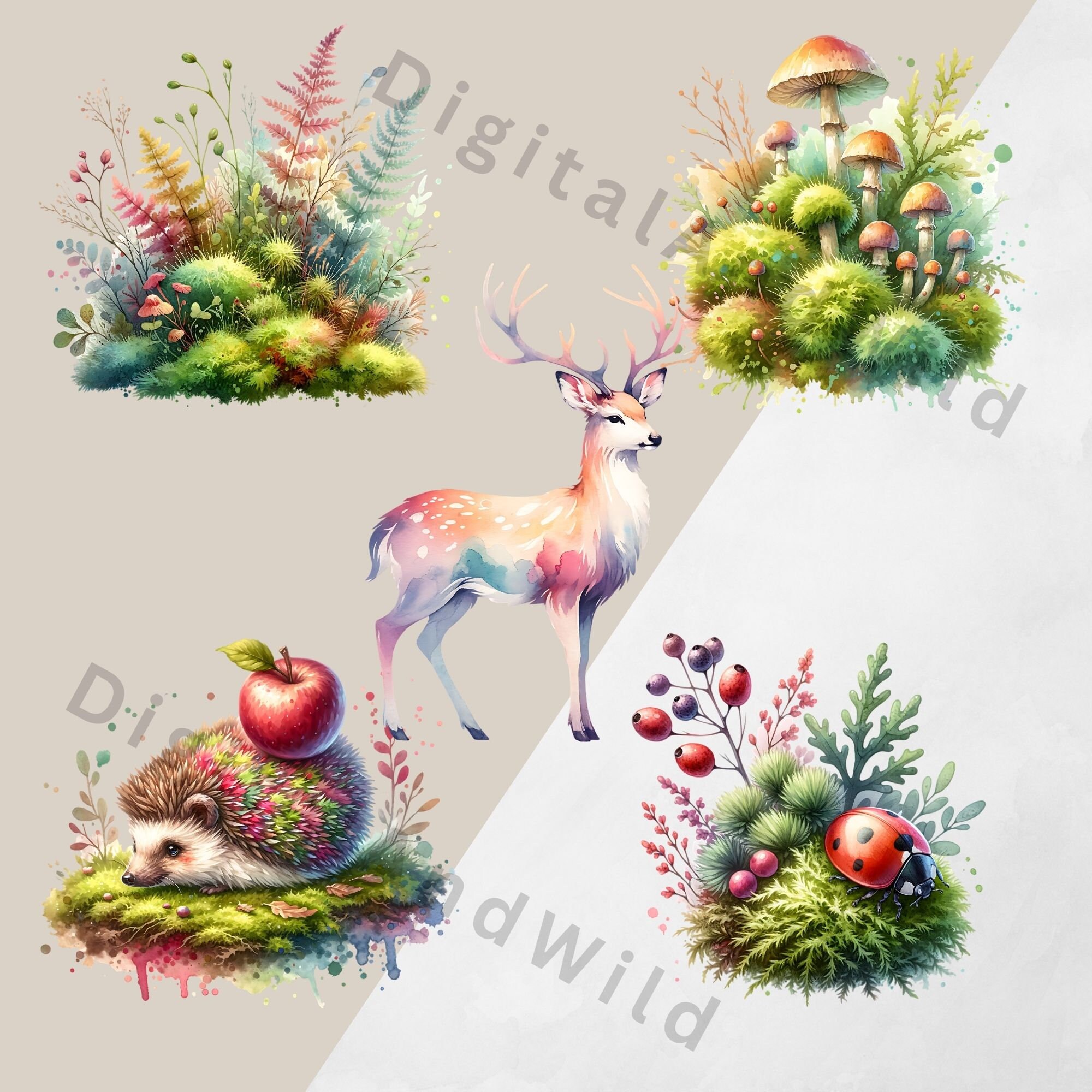Woodland Animals Clipart Bundle: Watercolor Forest Designs (25 PNG ...