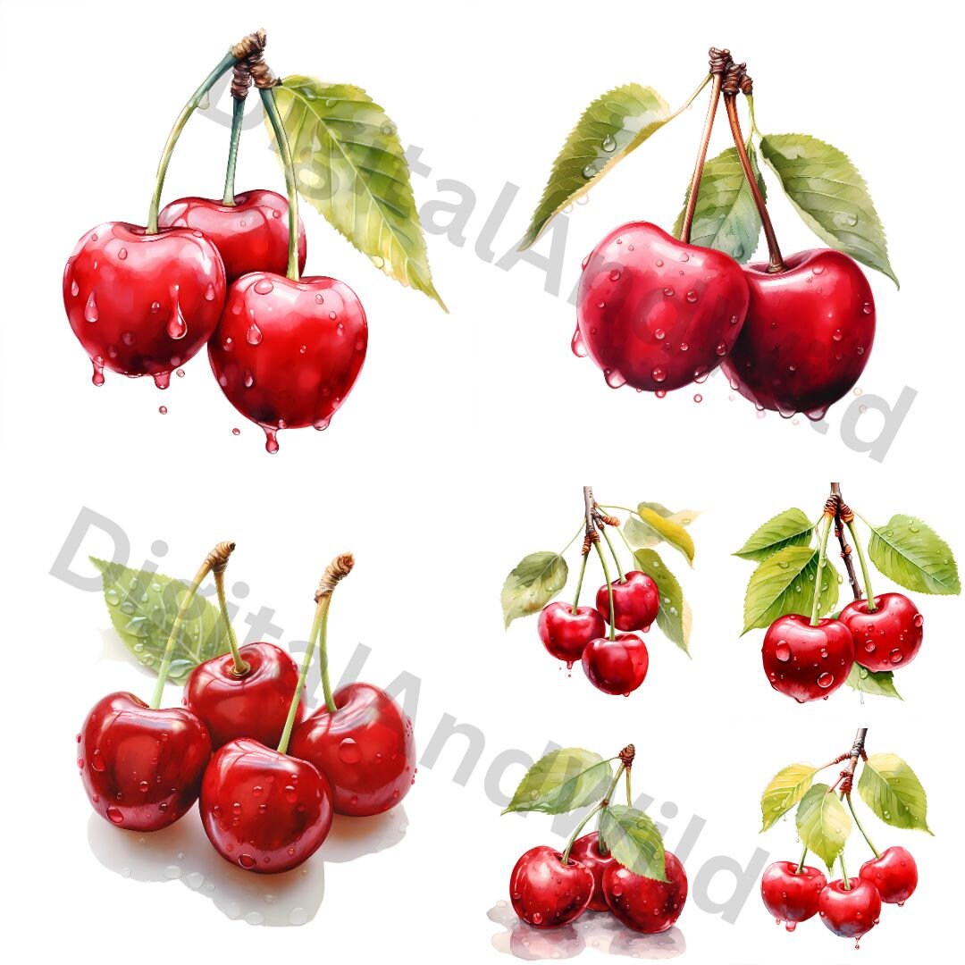 Cherry Watercolor Digital Clipart Bundle - High Quality Jpgs, Instant ...