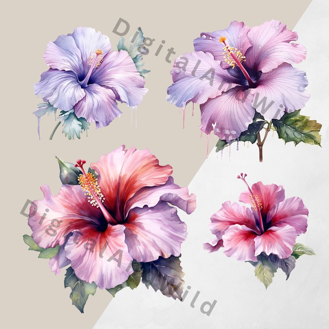 Hibiscus Watercolor Clipart Bundle Stunning Floral Design Printables ...