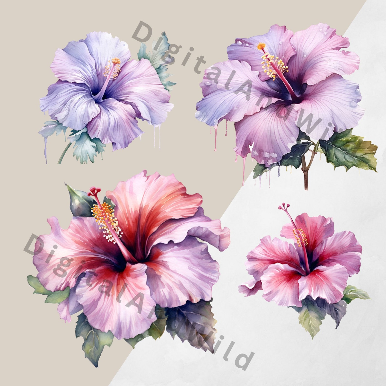 Hibiscus Watercolor Clipart Bundle Stunning Floral Design Printables ...