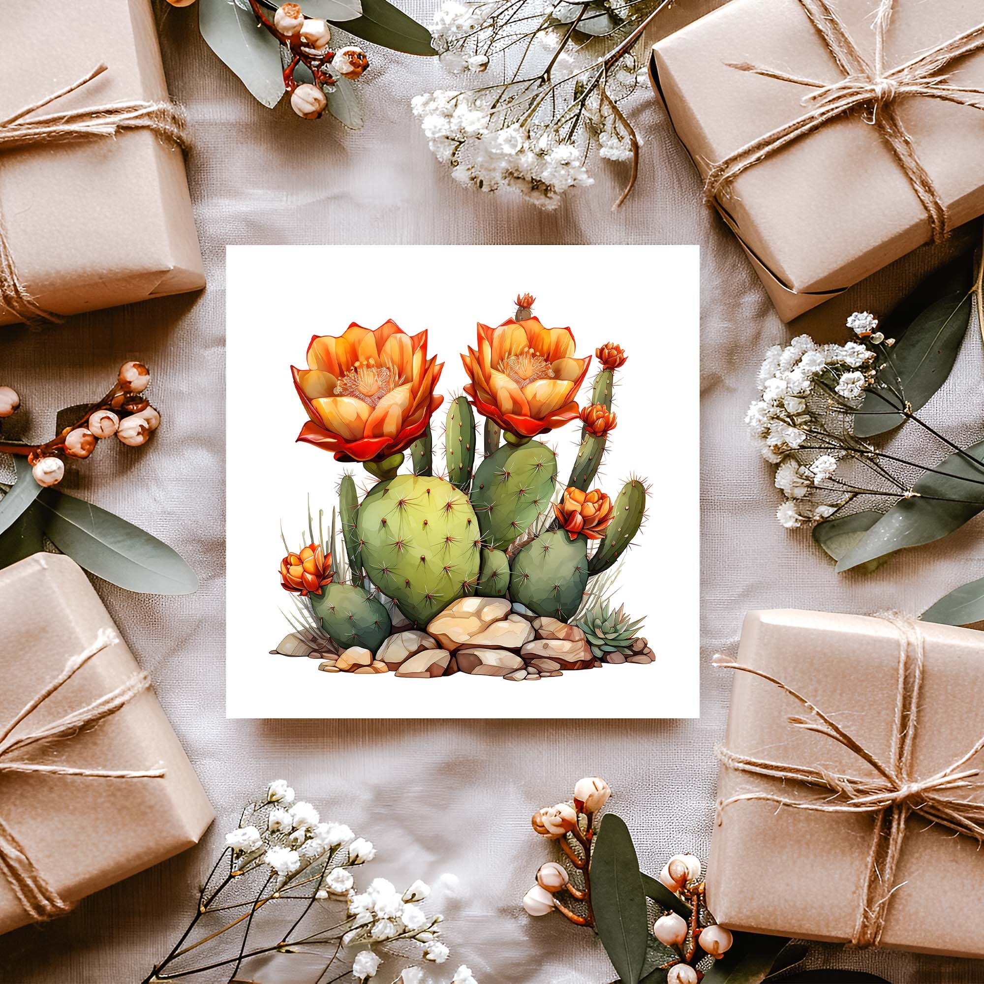 Cactus Digital Clipart Bundle 12 High Quality Jpgs for Instant Download ...