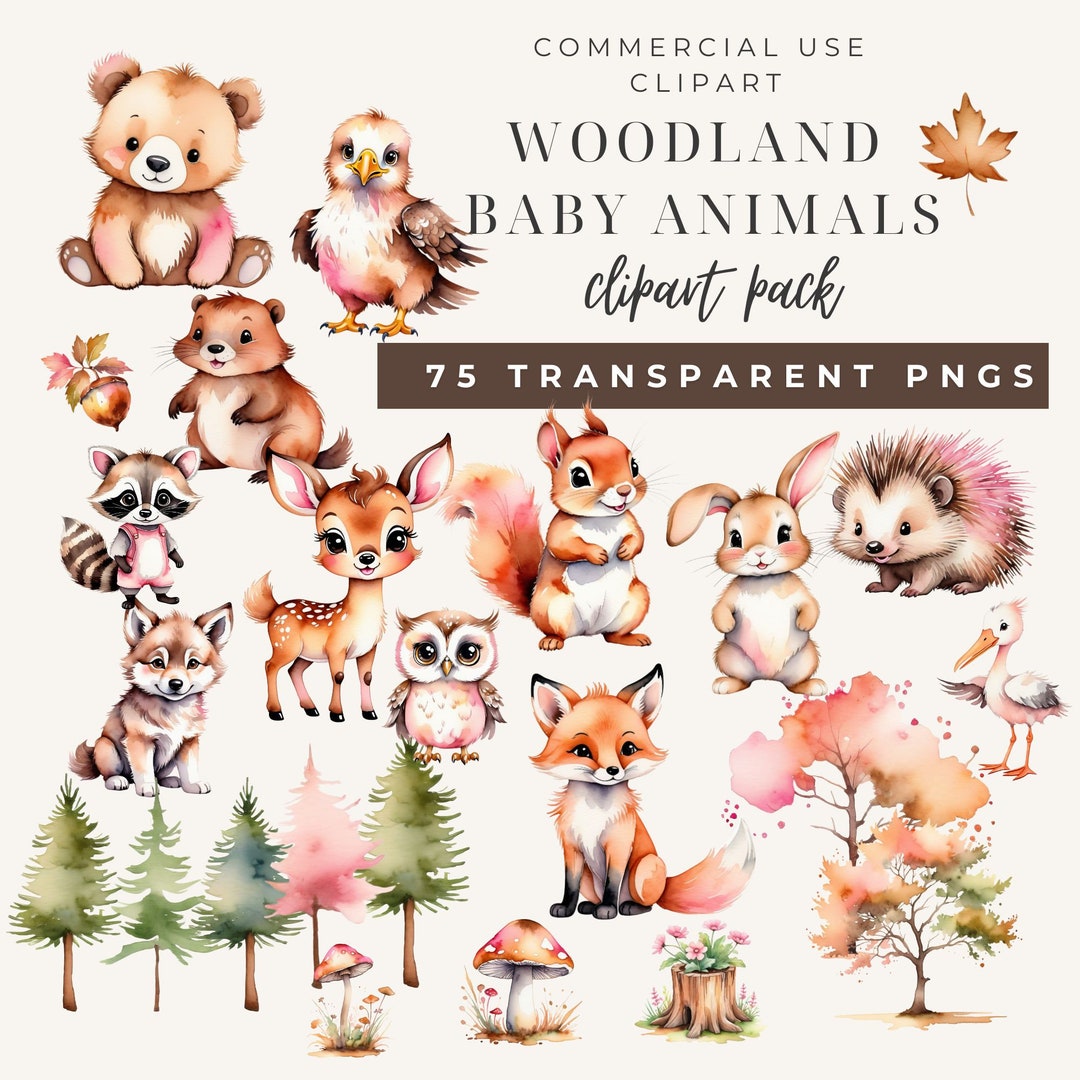 Baby Woodland Animals Clipart Bundle | Cute Nursery Art Bear, Fox ...