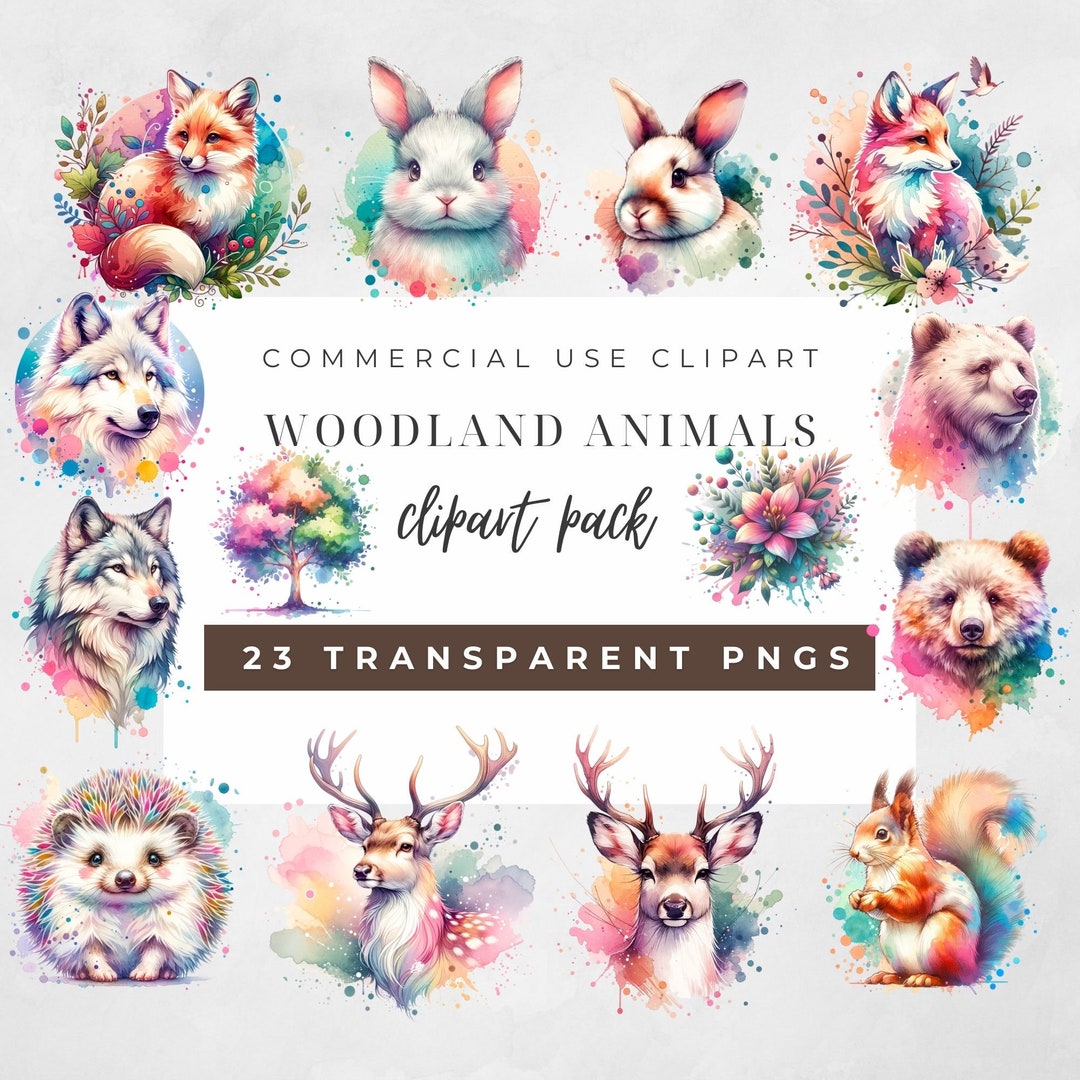 Woodland Animals Clipart Pack - 23 PNG Files, Instant Download ...