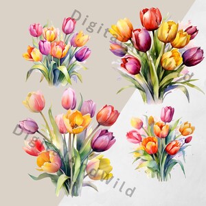 Watercolor Tulips Clipart Bundle | Instant Download | Commercial Use ...