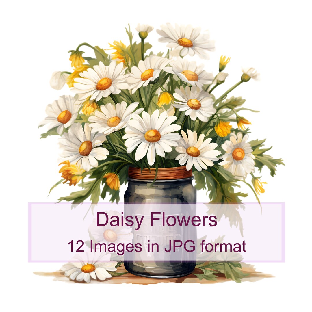 Daisy Flower Digital Clipart Pack, Floral Jpgs for Card Making ...