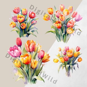 Watercolor Tulips Clipart Bundle | Instant Download | Commercial Use ...
