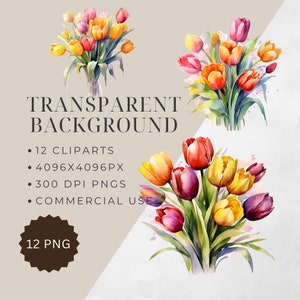 Watercolor Tulips Clipart Bundle | Instant Download | Commercial Use ...