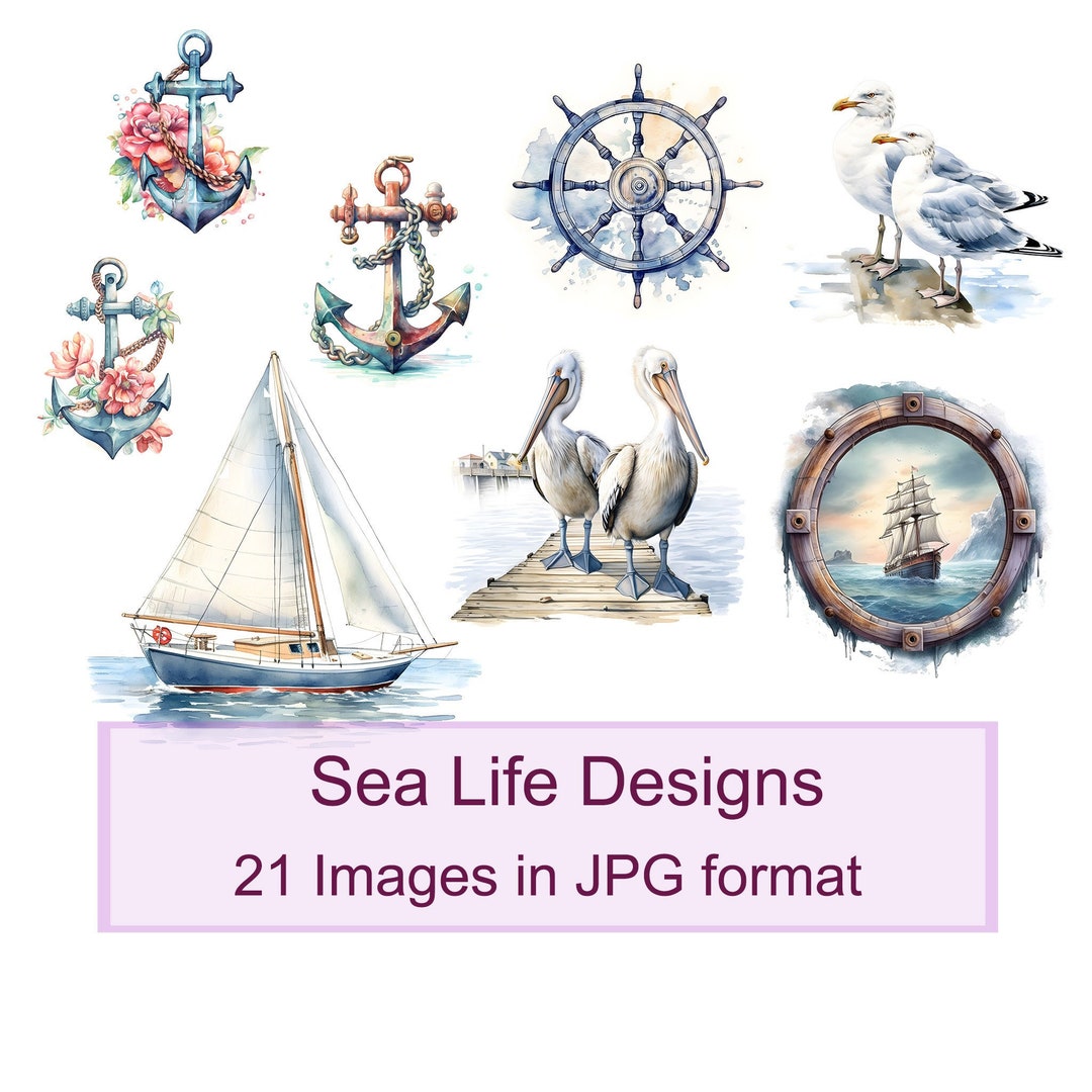Sea Life Clipart Bundle: 21 JPG Nautical Images (commercial Use) - Etsy