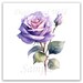 Watercolor Rose Digital Clipart Pack, Floral Clip Art, Instant Digital ...