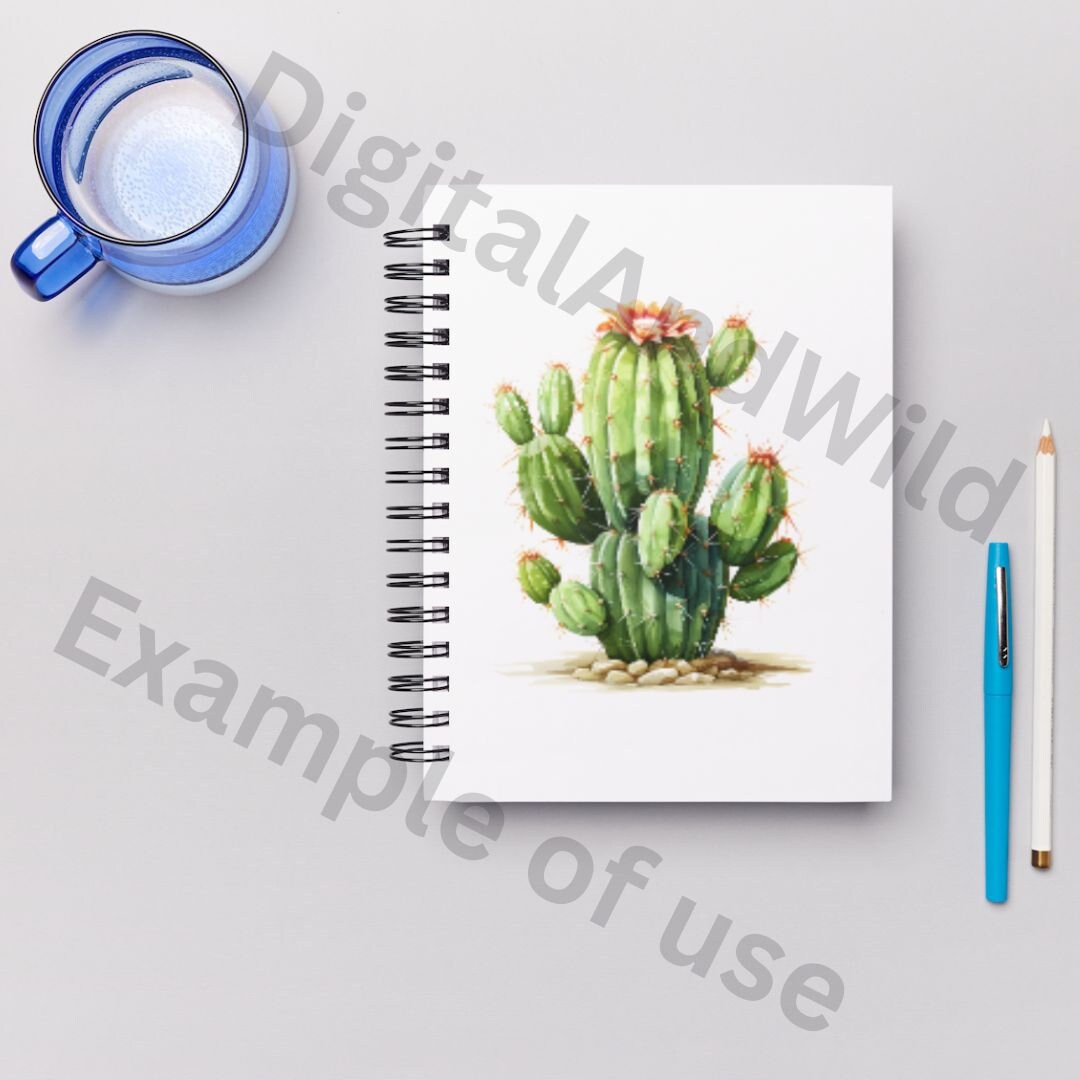 Cactus Digital Clipart Bundle - 12 High Quality Jpgs for Instant ...