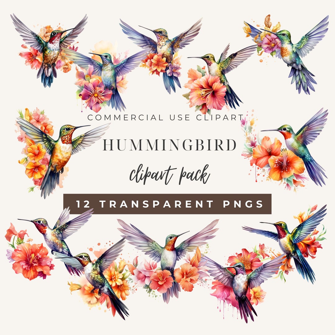 Hummingbird Watercolor Clipart Set of 12 Pngs, Floral Bird Clipart ...