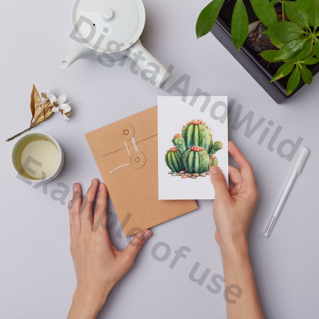 Cactus Digital Clipart Bundle 12 High Quality Jpgs for Instant Download ...