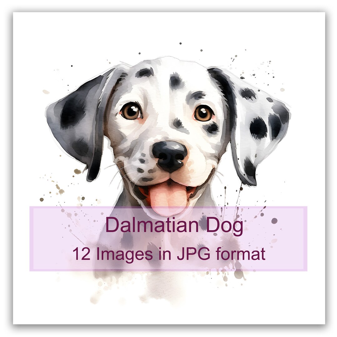 Dalmatian Dog Digital Watercolor Clipart Bundle, Instant Digital ...