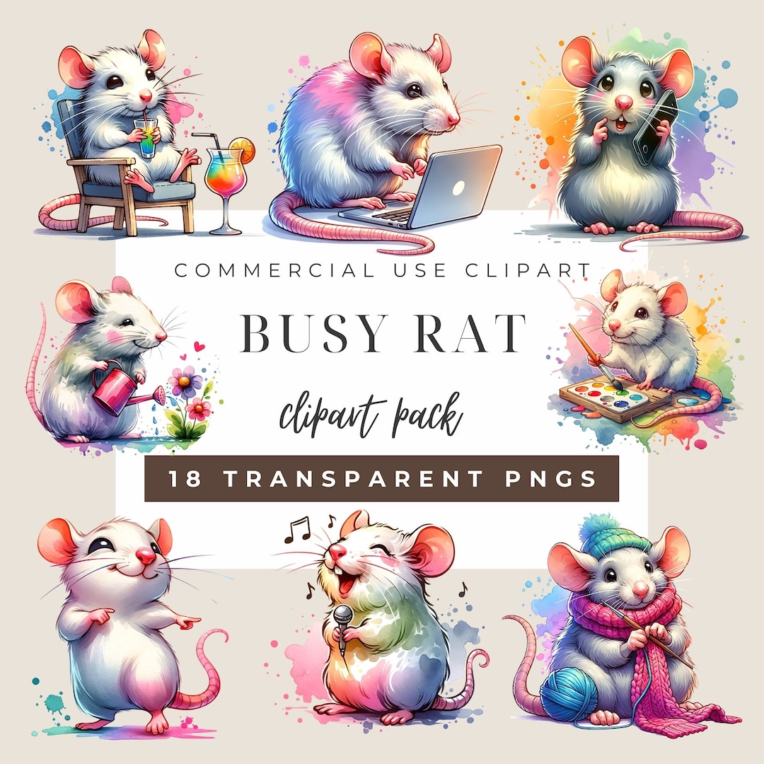 18 Busy Rat Designs, Digital Clipart Bundle, 18 High Quality Pngs ...