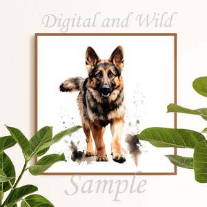 German Shepherd Dog Digital Watercolor Images, Animals Clip Art, Dog ...