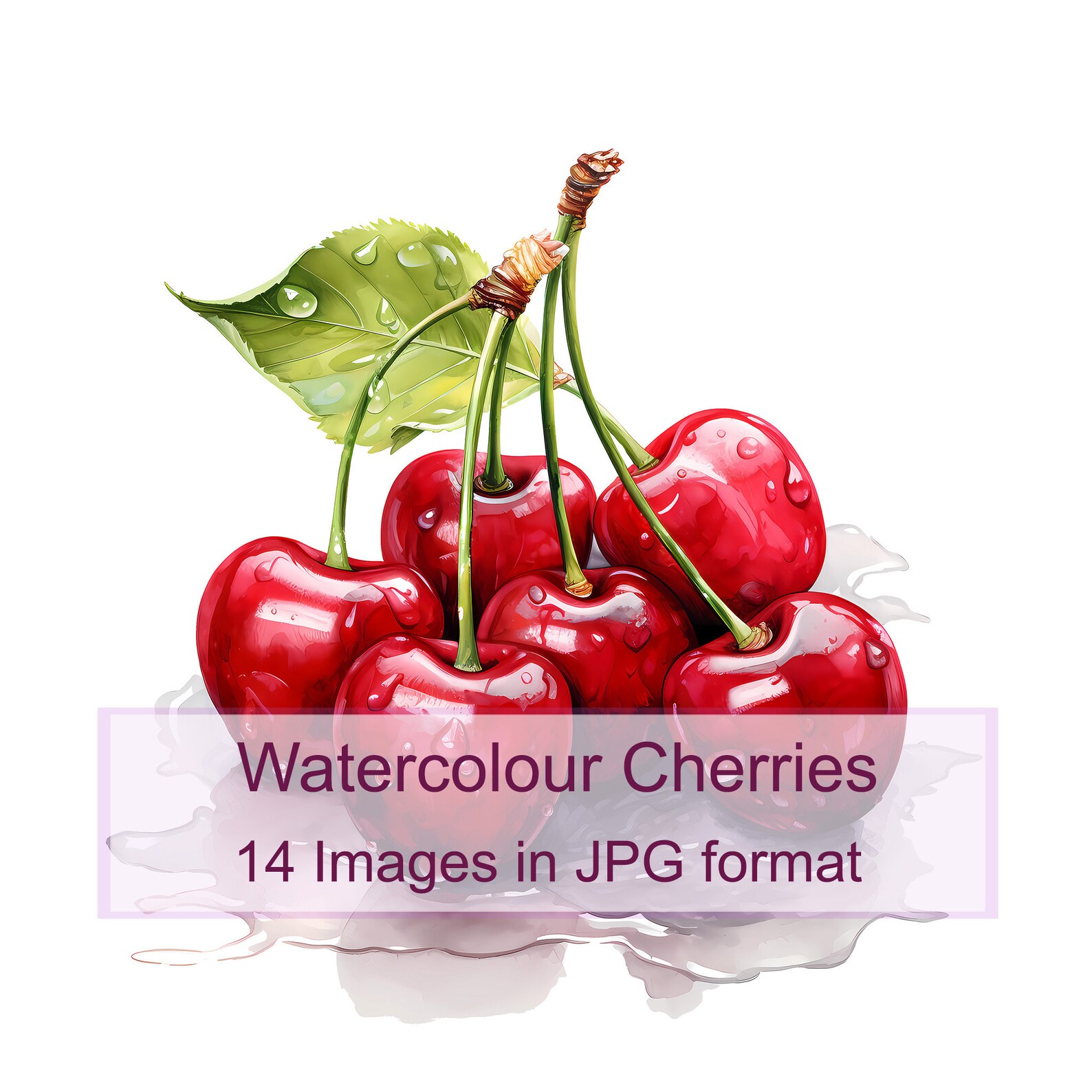 Cherry Watercolor Digital Clipart Bundle - High Quality Jpgs, Instant ...