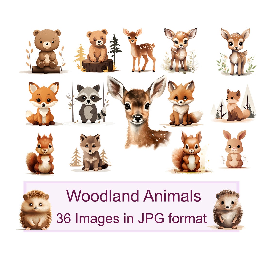 Woodland Animals Digital Clipart Bundle, Nursery Room Decor, Animals ...
