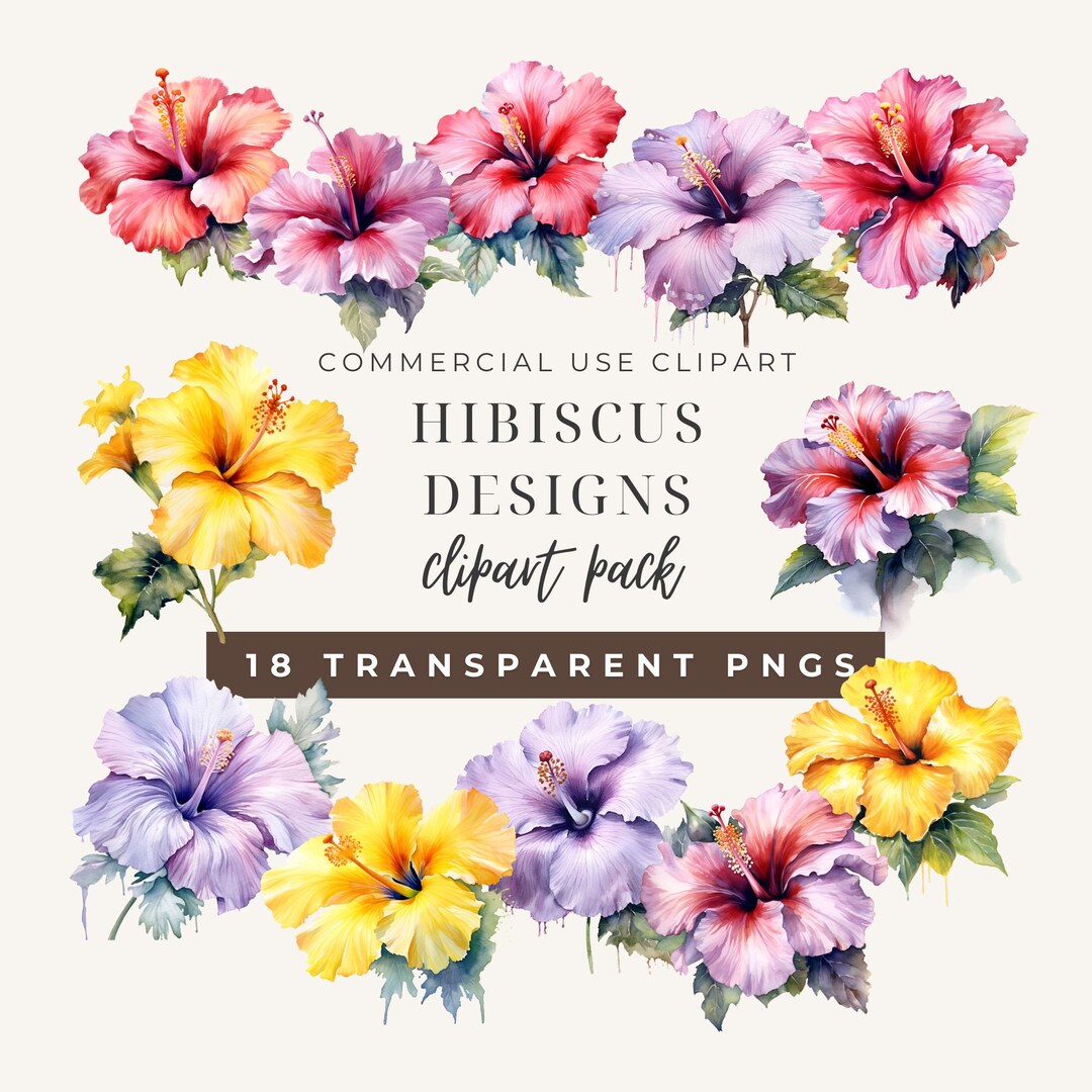 Hibiscus Watercolor Clipart Bundle | Stunning Floral Design ...