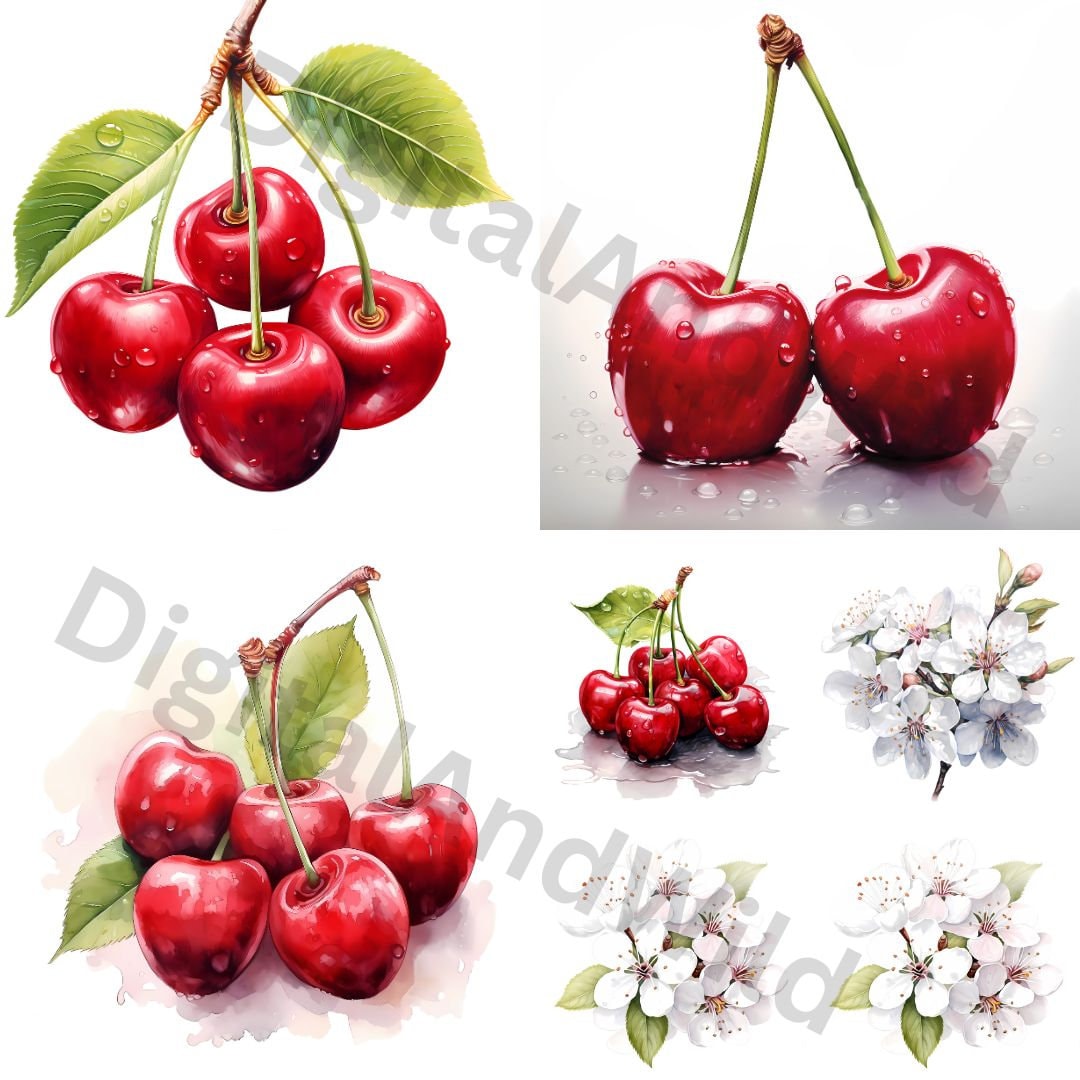 Cherry Watercolor Digital Clipart Bundle - High Quality Jpgs, Instant ...
