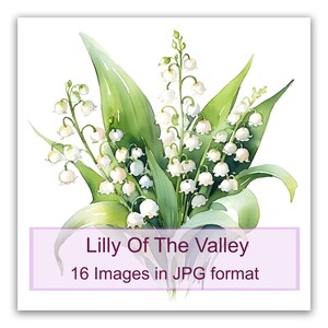 Lilly of the Valley Digital Watercolor Images 16 High Quality JPG Files ...