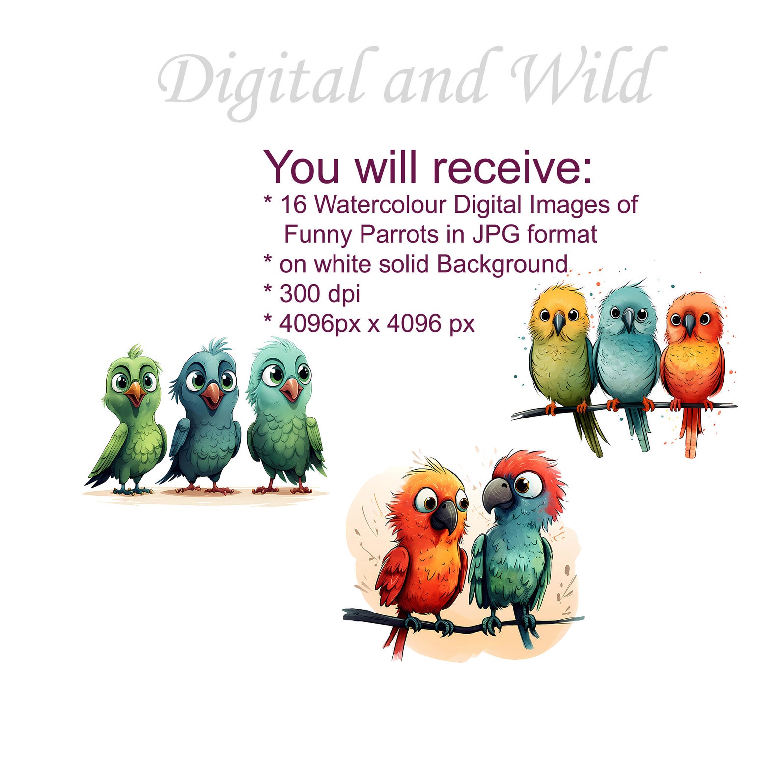 Funny and Cute Parrots Digital Clipart Bundle, Cute Birds Clip Arts ...