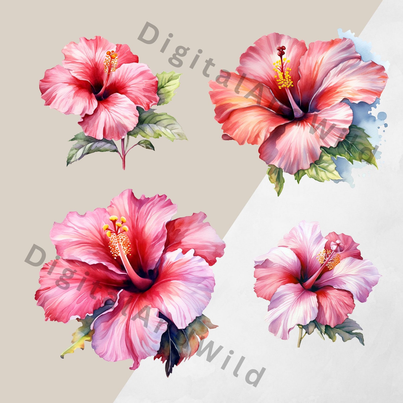 Hibiscus Watercolor Clipart Bundle Stunning Floral Design Printables ...
