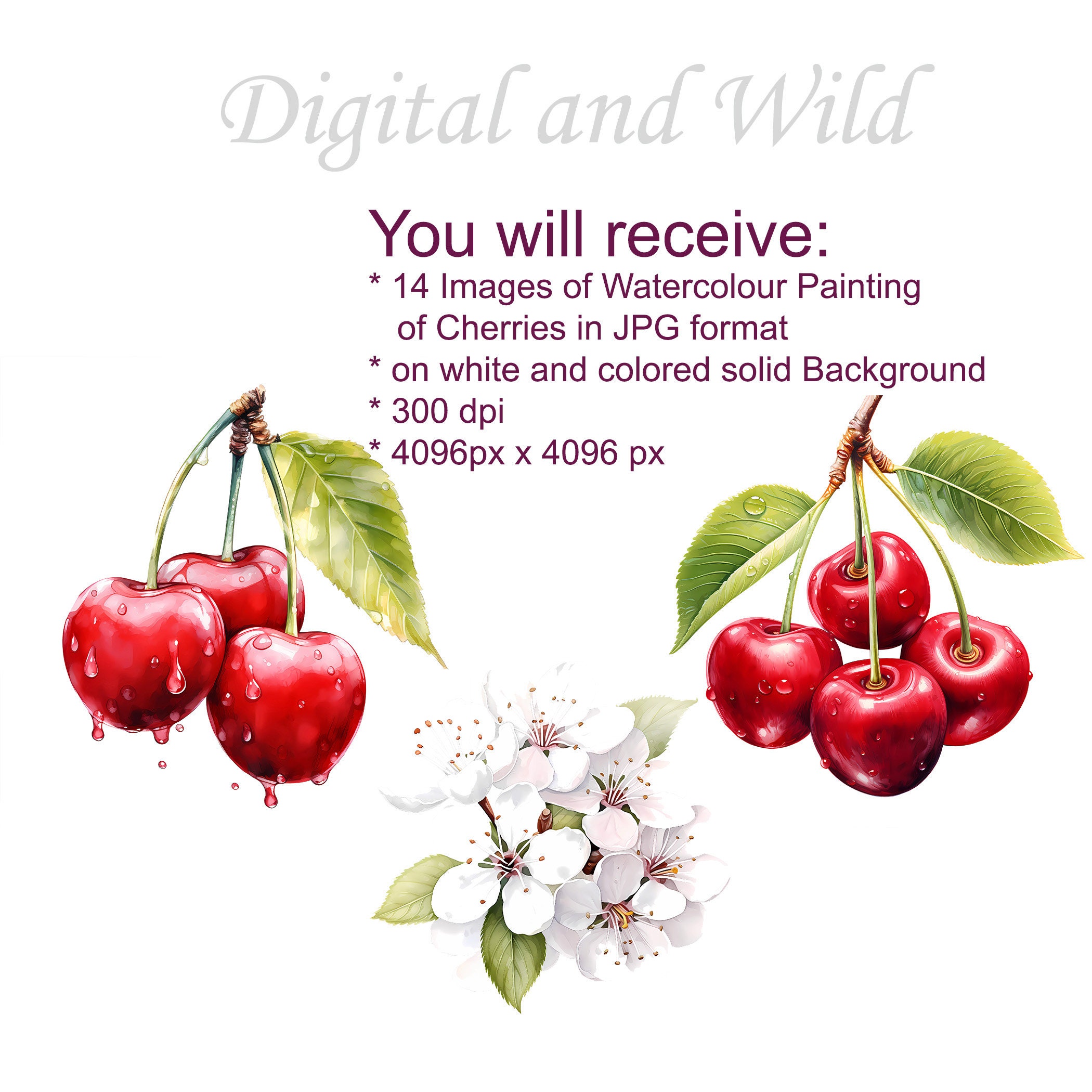 Cherry Watercolor Digital Clipart Bundle - High Quality Jpgs, Instant ...