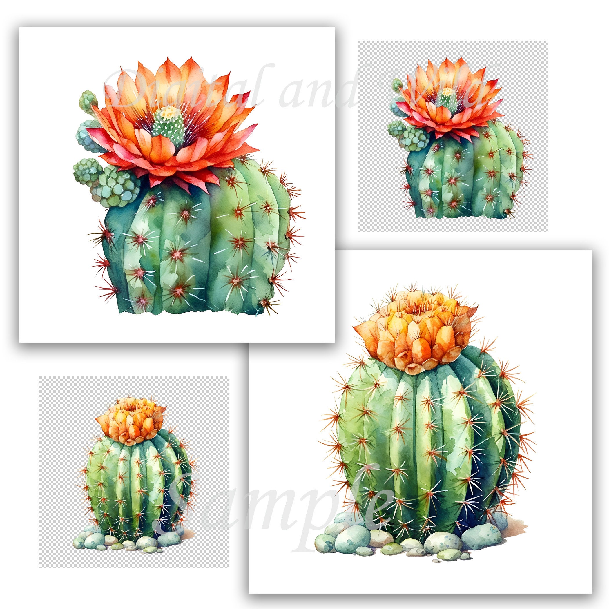 Desert Cactus Watercolor Clipart Bundle, Cacti Graphics in PNG and JPG ...