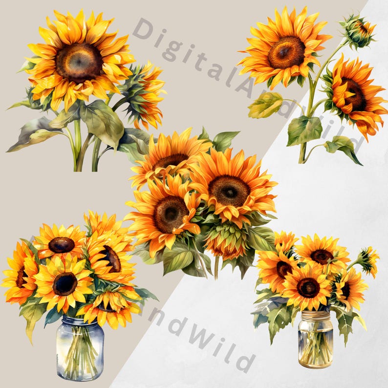 Watercolor Sunflower Clipart Bundle: Floral PNG Designs (digital ...
