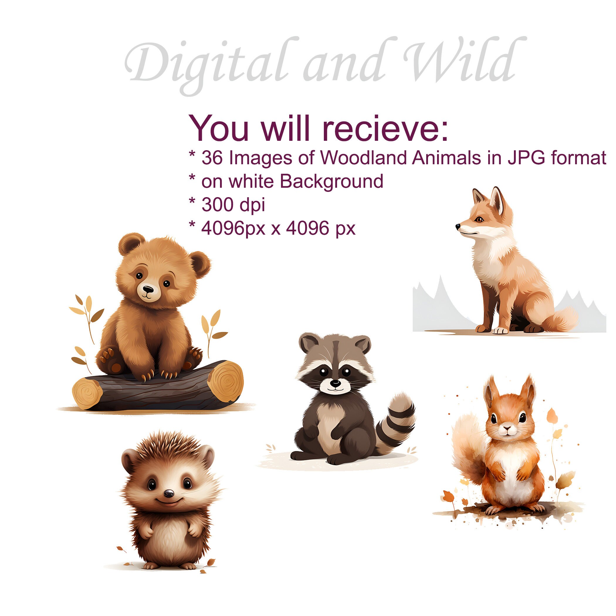 Woodland Animals Digital Clipart Bundle, Nursery Room Decor, Animals ...