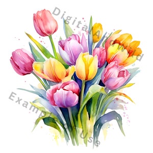 Watercolor Tulips Clipart Bundle | Instant Download | Commercial Use ...