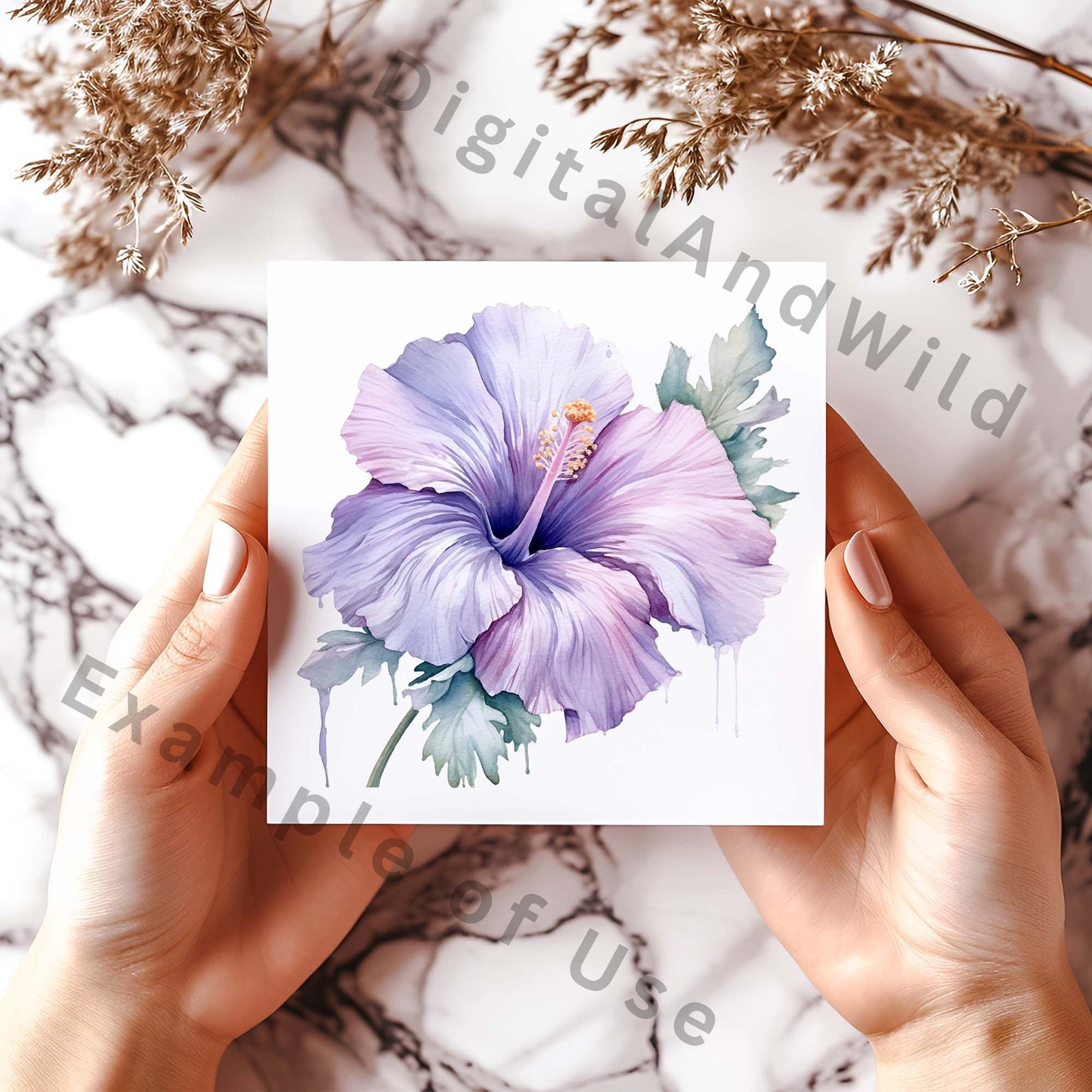 Hibiscus Watercolor Clipart Bundle Stunning Floral Design Printables ...