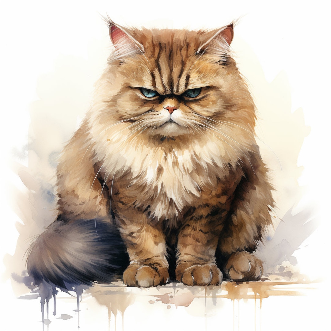 Grumpy Fat Cat Watercolour Painting Clipart 4 High Quality Jpgs Instant ...