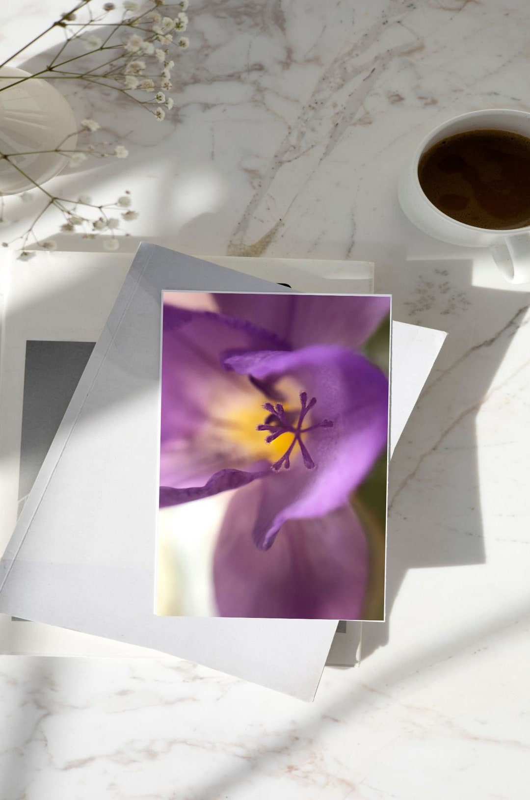 A6, A5, A4 Professional Photography Photo Print. Lily Flower, Flower ...