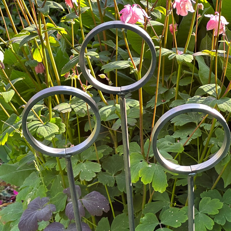 Plant Support - Etsy