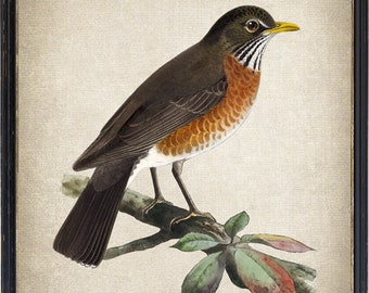 OldArtPrintables - Etsy