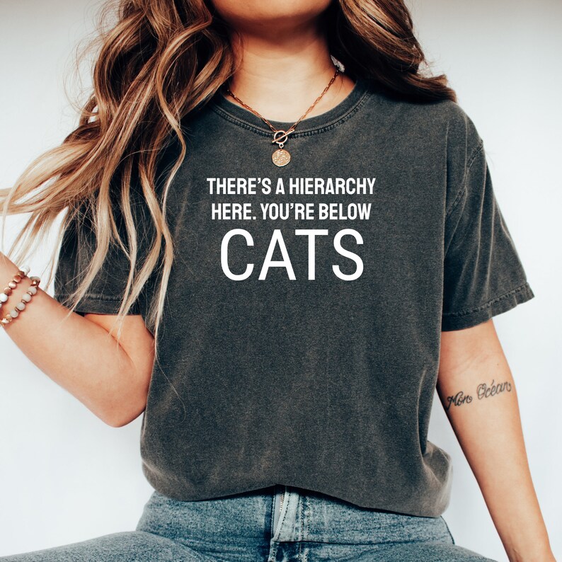 There's a Hierarchy Here. You're Below Cats Shirt Funny Witty Cat ...