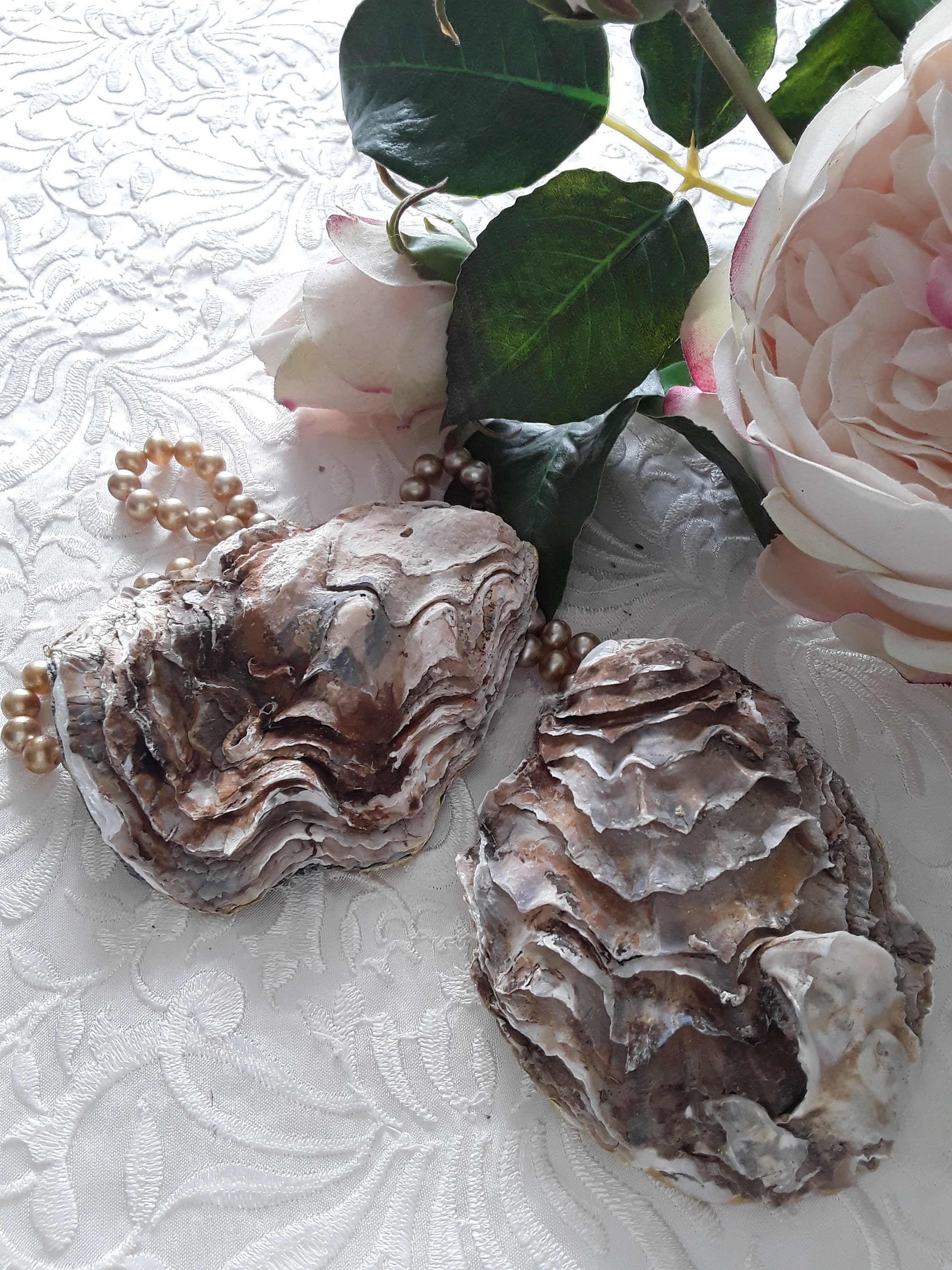 Oyster Ring Shell Duo - Etsy