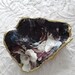 Oyster Ring Shell Duo - Etsy