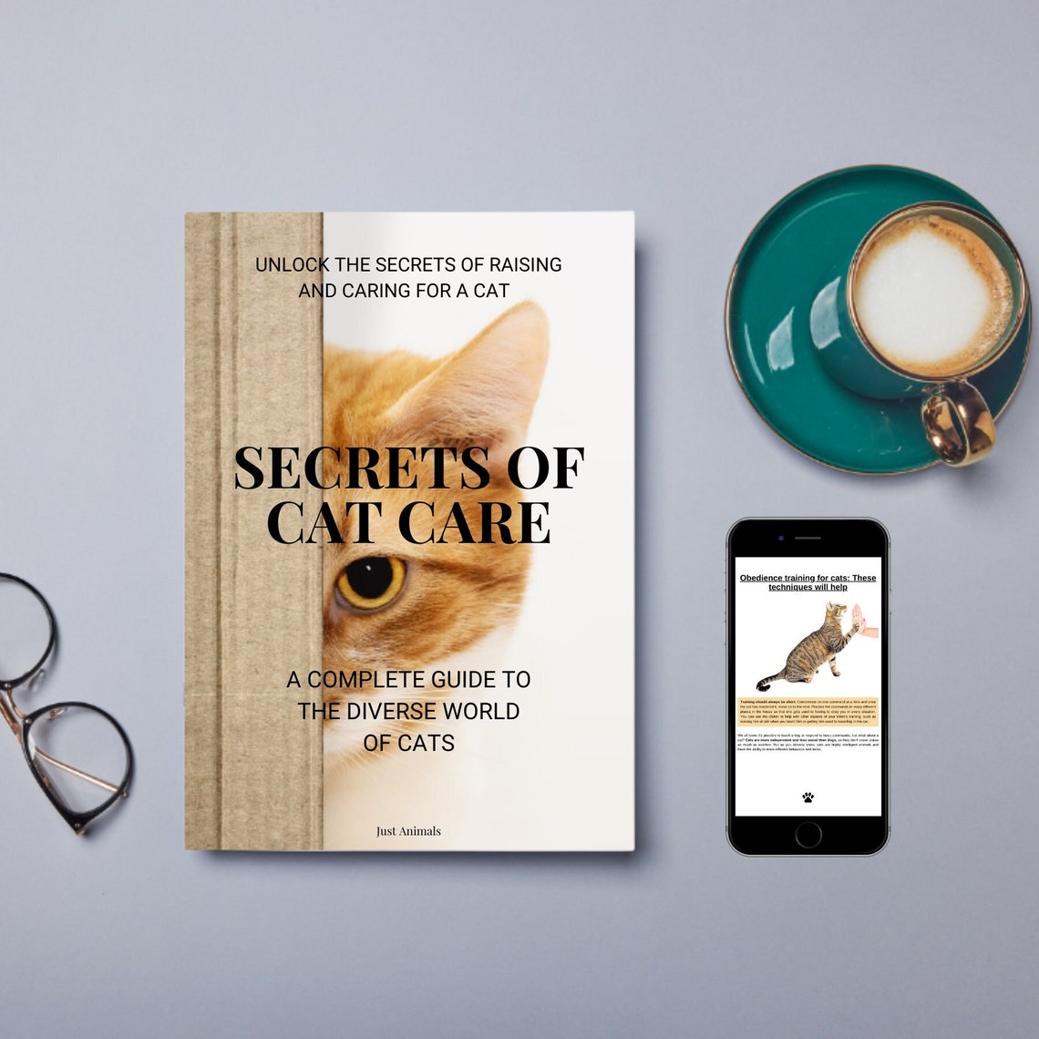 Secrets of Cat Care Cat Raising, Cat Caring - Etsy
